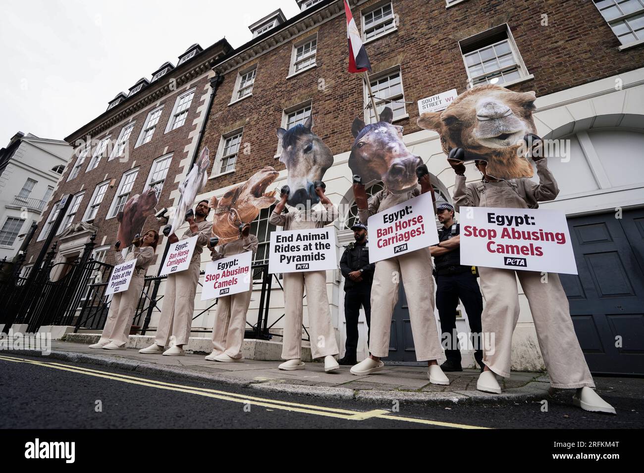 Activists from PETA wearing "hooves" and giant horse and camel masks ...