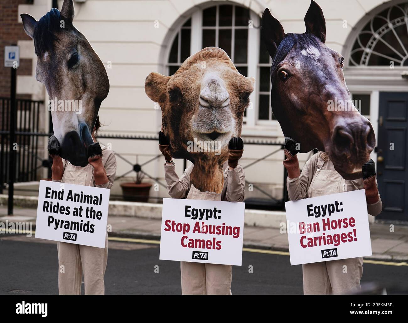 Activists from PETA wearing "hooves" and giant horse and camel masks ...