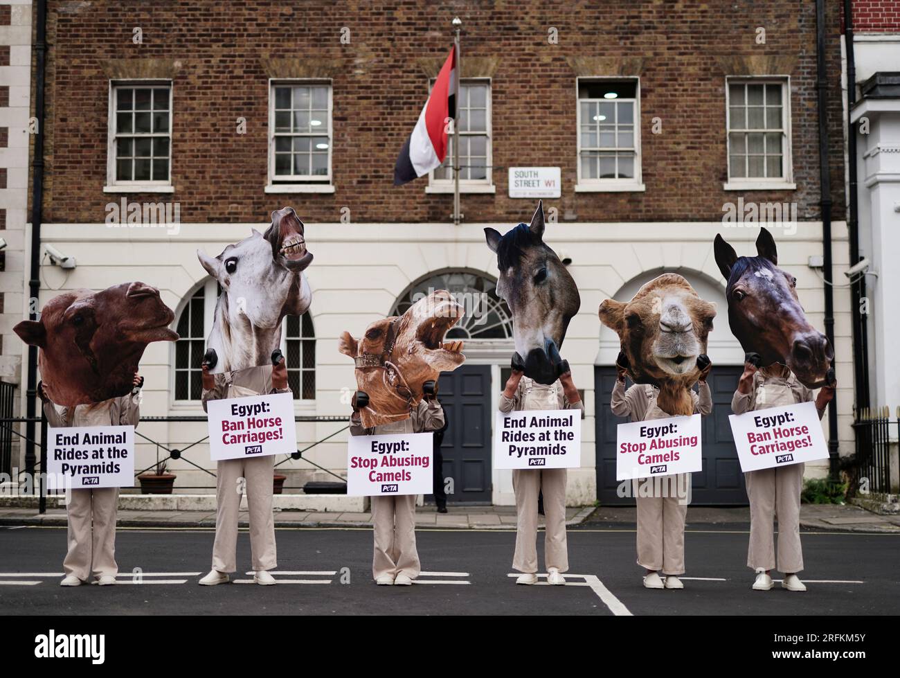 Activists from PETA wearing "hooves" and giant horse and camel masks ...
