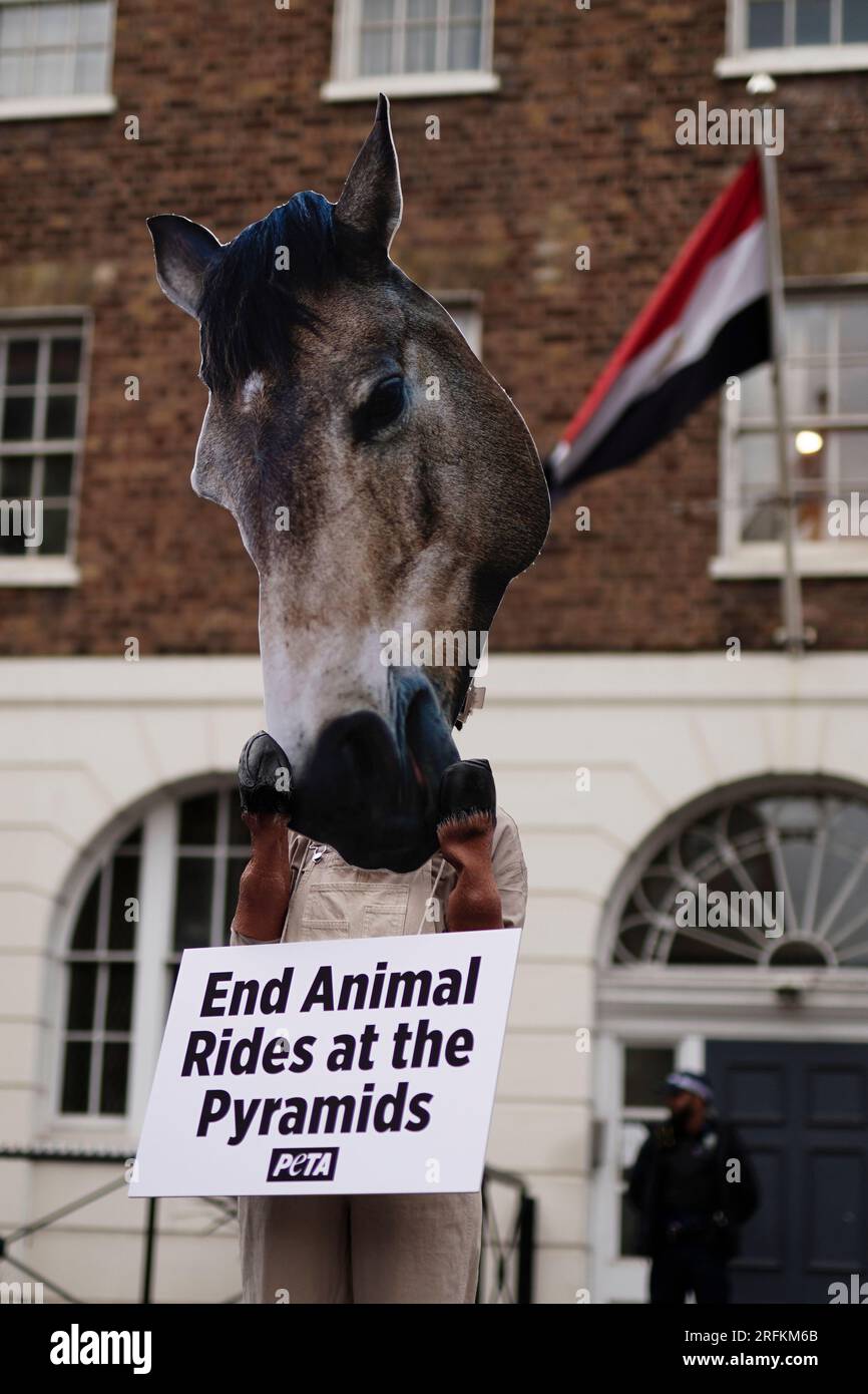 Activists from PETA wearing "hooves" and giant horse and camel masks ...