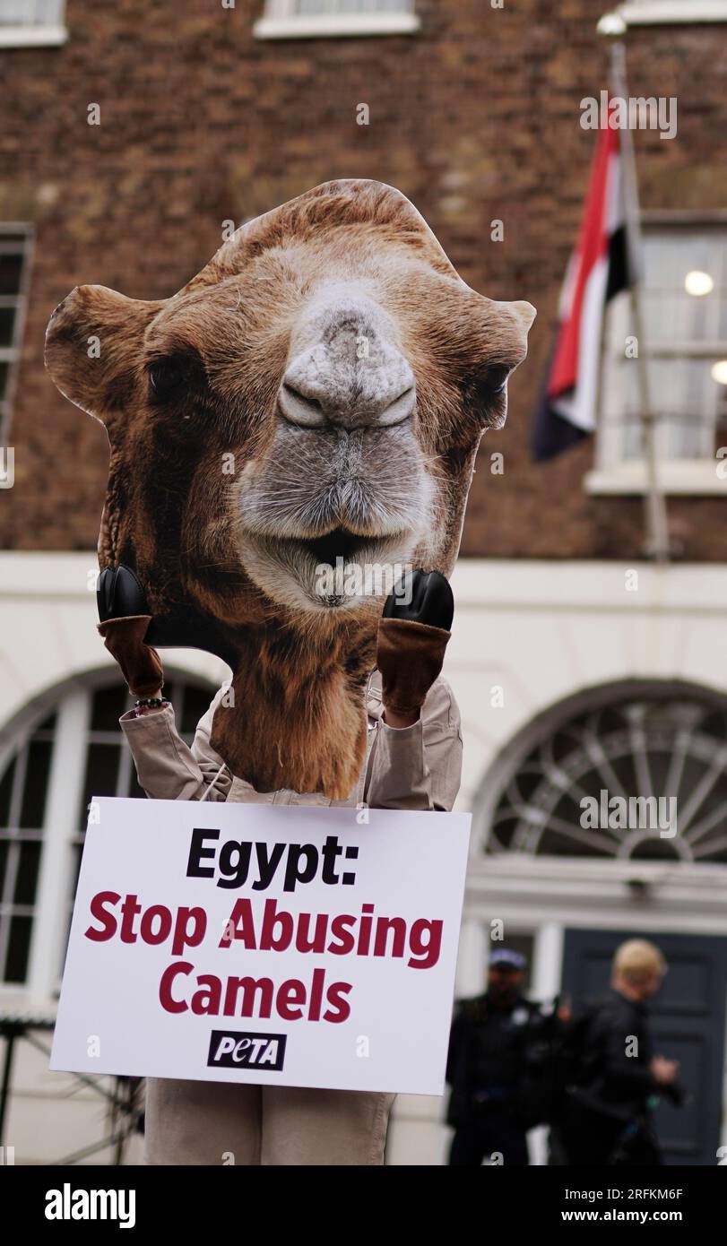 Activists from PETA wearing "hooves" and giant horse and camel masks ...