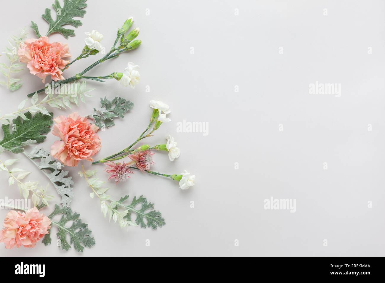 Flowers composition made of coral carnation and silver-green leaves of ...