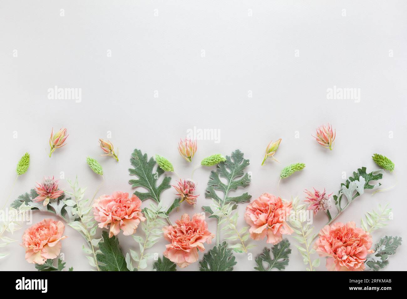 Flowers composition made of coral carnation and silver-green leaves of ...