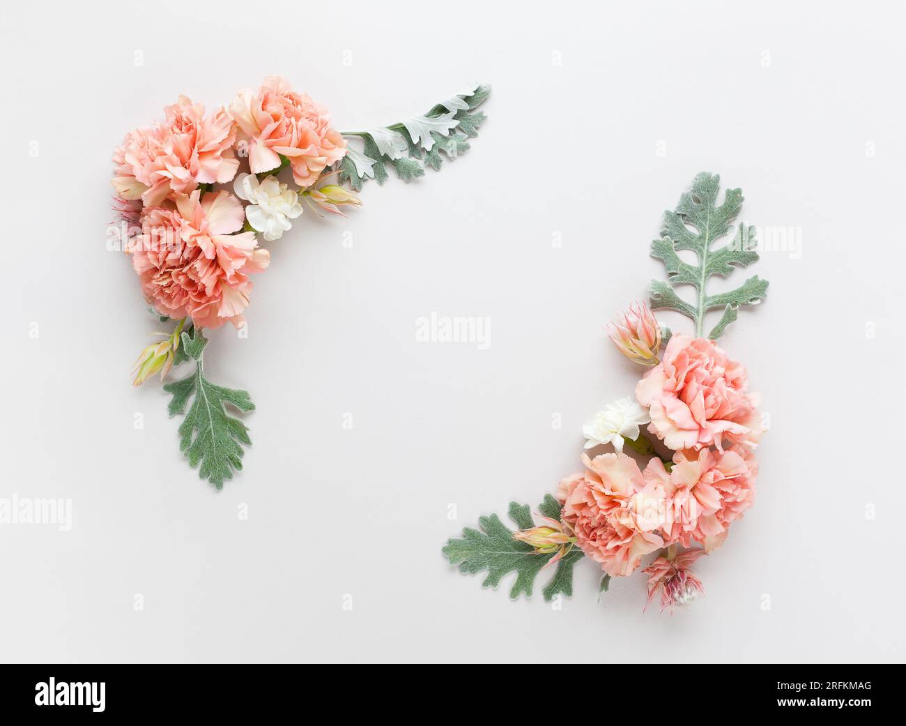 Flowers composition made of coral carnation and silver-green leaves of ...
