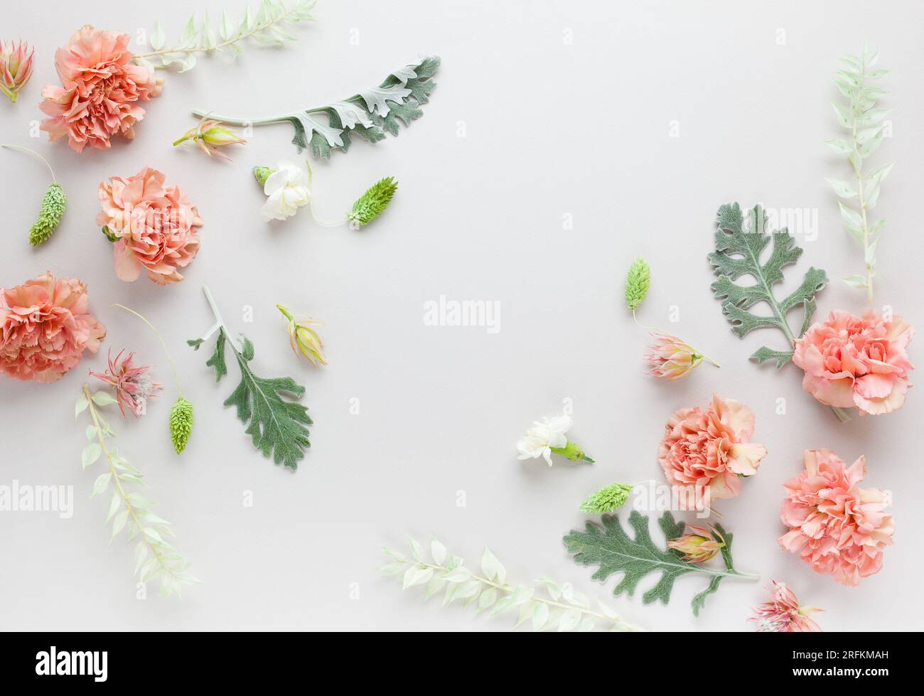 Flowers composition made of coral carnation and silver-green leaves of ...