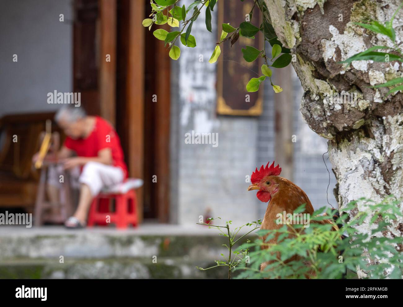 Embroidered ball hi-res stock photography and images - Alamy