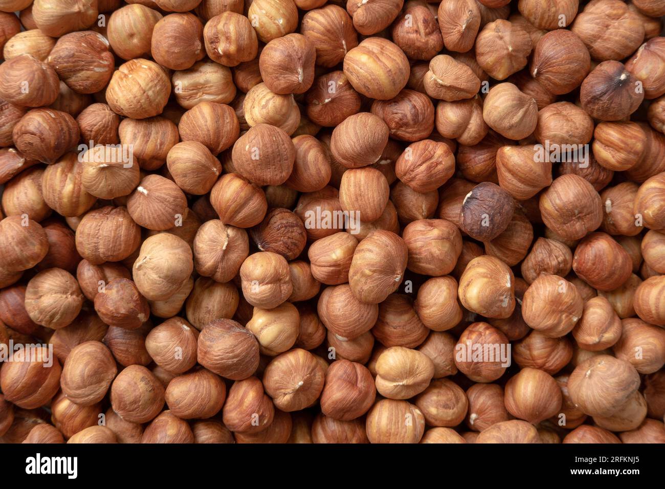 Hazelnuts harvest. Filbert photo wallpaper. Full frame of hazel. Cobnut ...