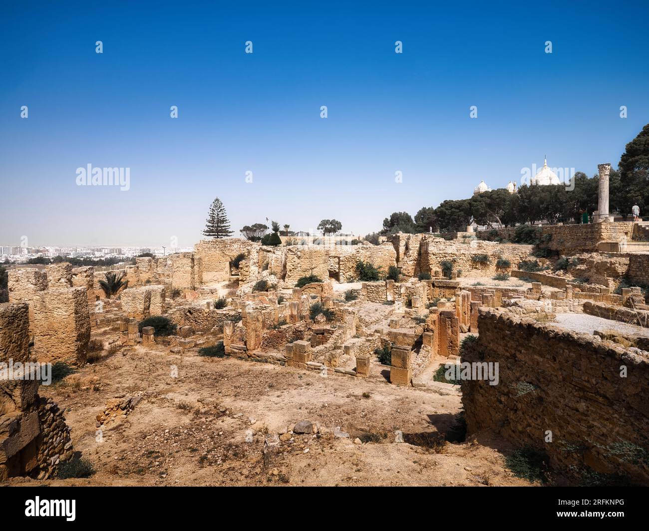 Ancient ruins of the legendary city of Carthage in Tunisia, Africa ...