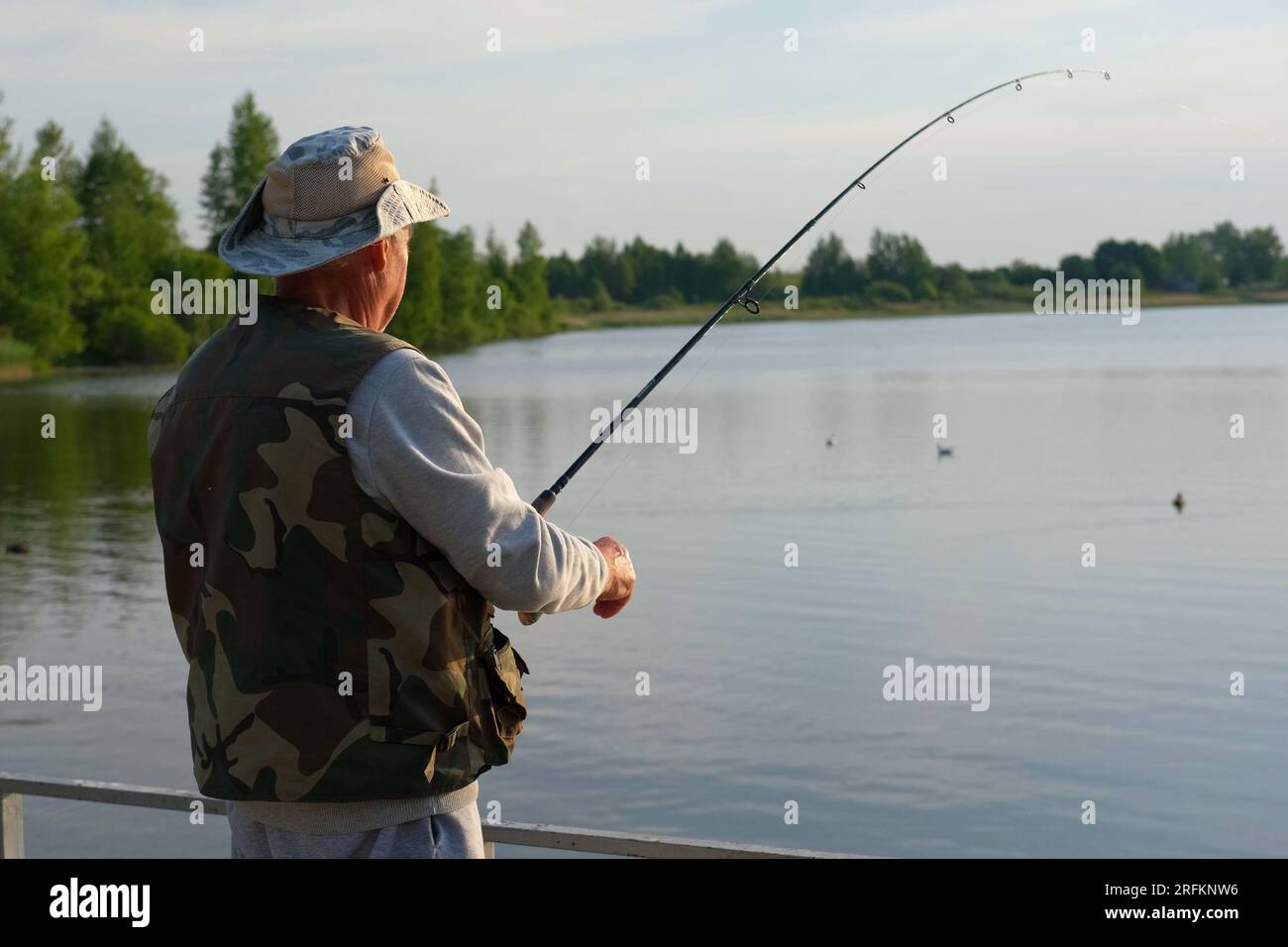 Old man fishing. Senior gray haired fisherman throws a spinning from ...