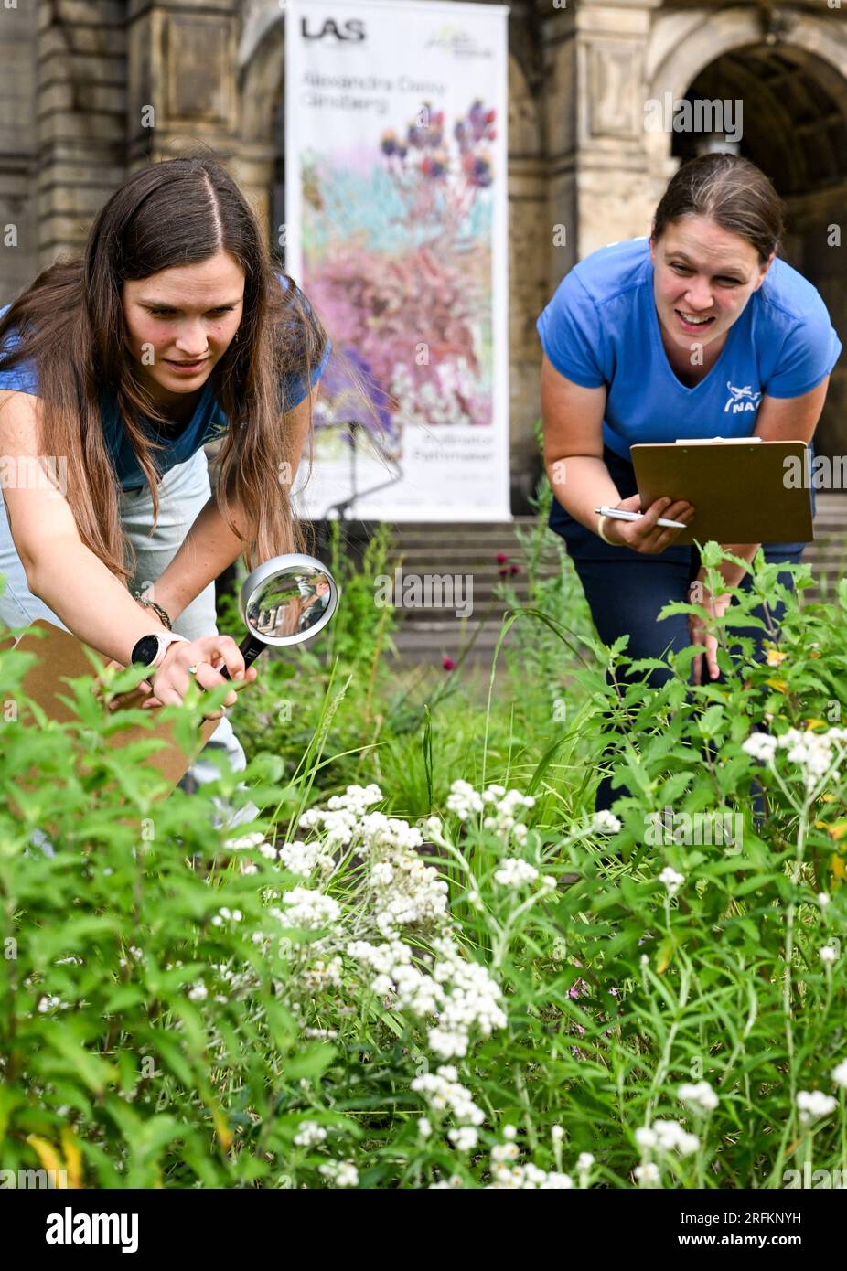 Laura breitkreuz hi-res stock photography and images - Alamy