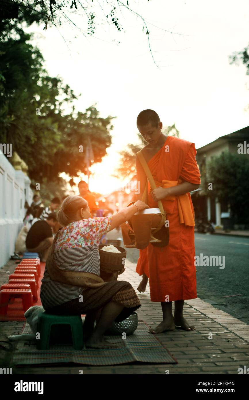 luangprabang lao-july22,2023 : buddhist monk receiving sticky rice from ...
