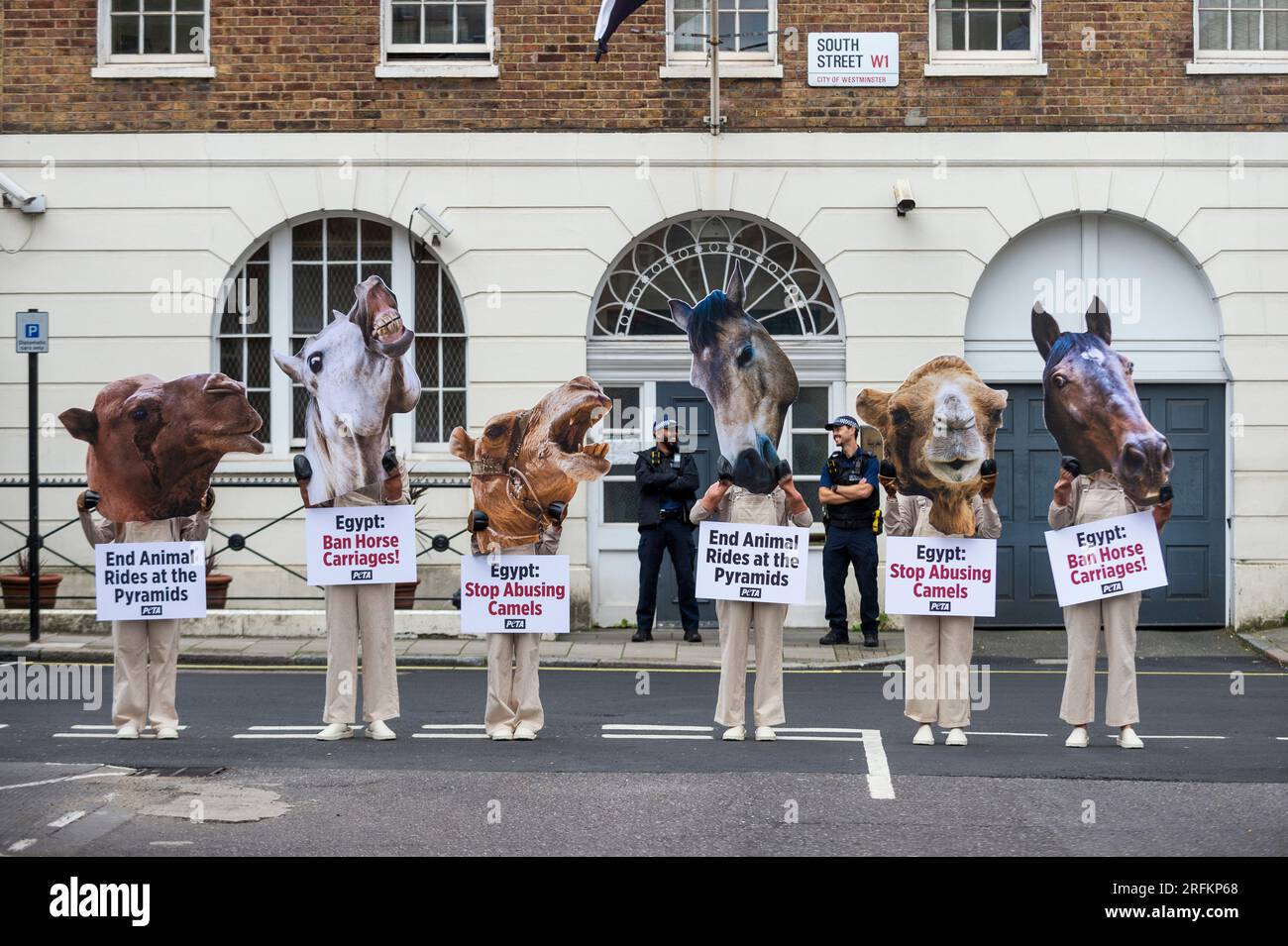 Peta animal cruelty hi-res stock photography and images - Alamy