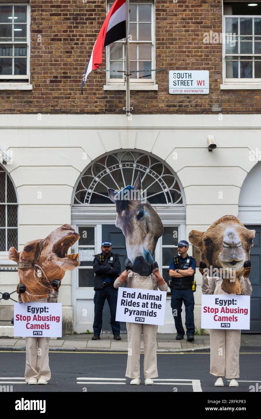 Peta animal cruelty hi-res stock photography and images - Alamy