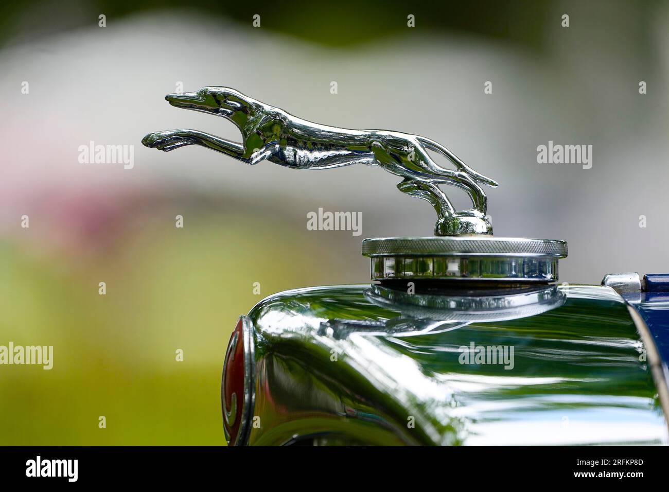 A Greyhound car hood ornament is pictured on a vintage AC car during a ...