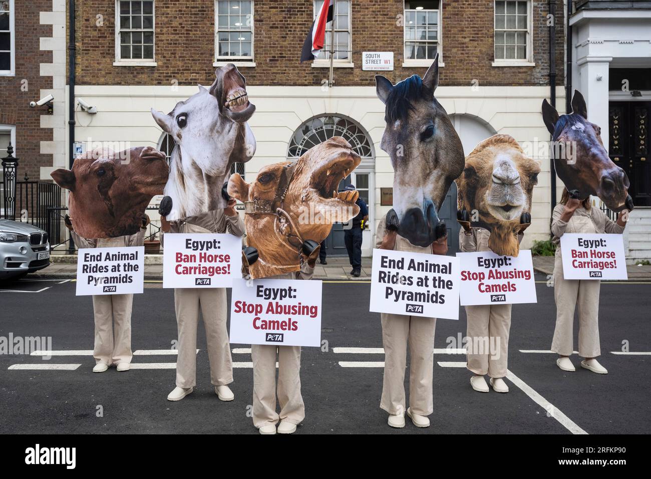Peta animal cruelty hi-res stock photography and images - Alamy