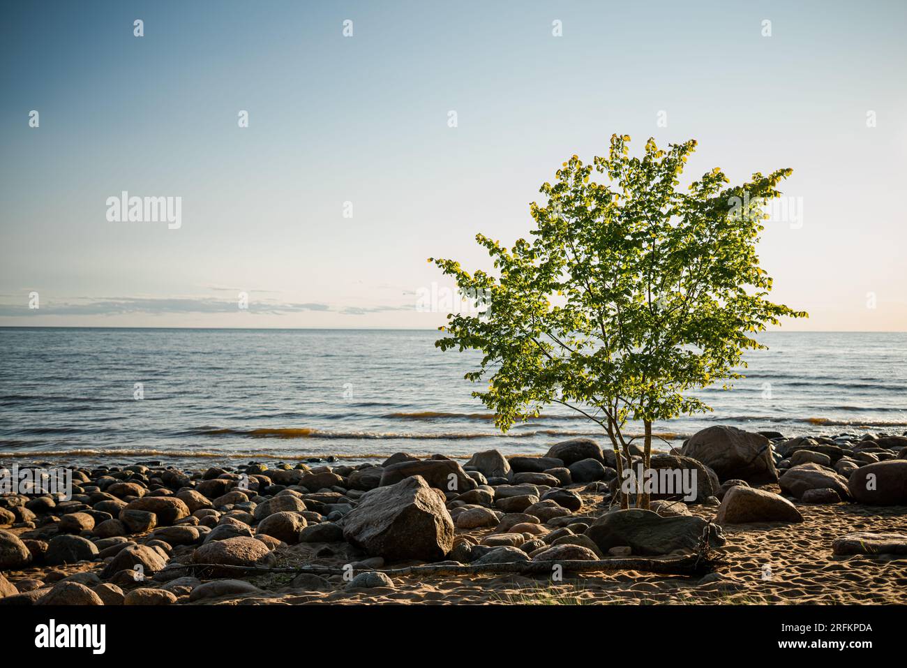 Sigmaar hi-res stock photography and images - Alamy