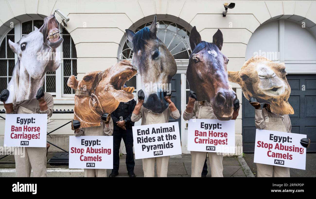 London, UK. 4 August 2023. PETA supporters wearing “hooves” and giant ...