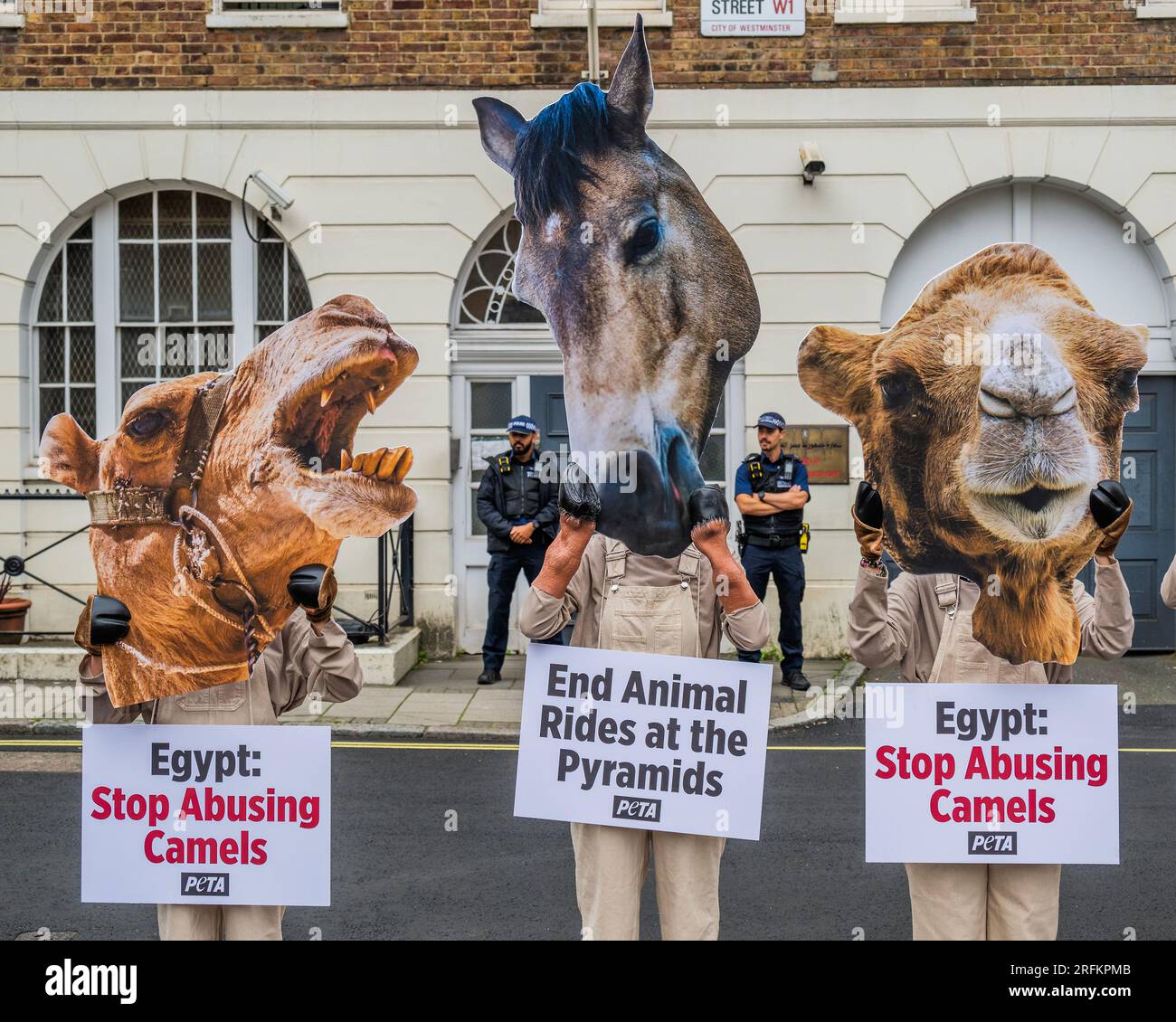 London, UK. 4th Aug, 2023. PETA supporters dressed as horses and camels ...