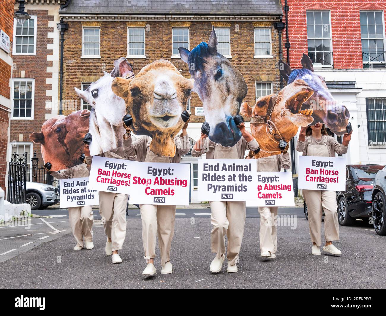 London, UK. 4th Aug, 2023. PETA supporters dressed as horses and camels ...