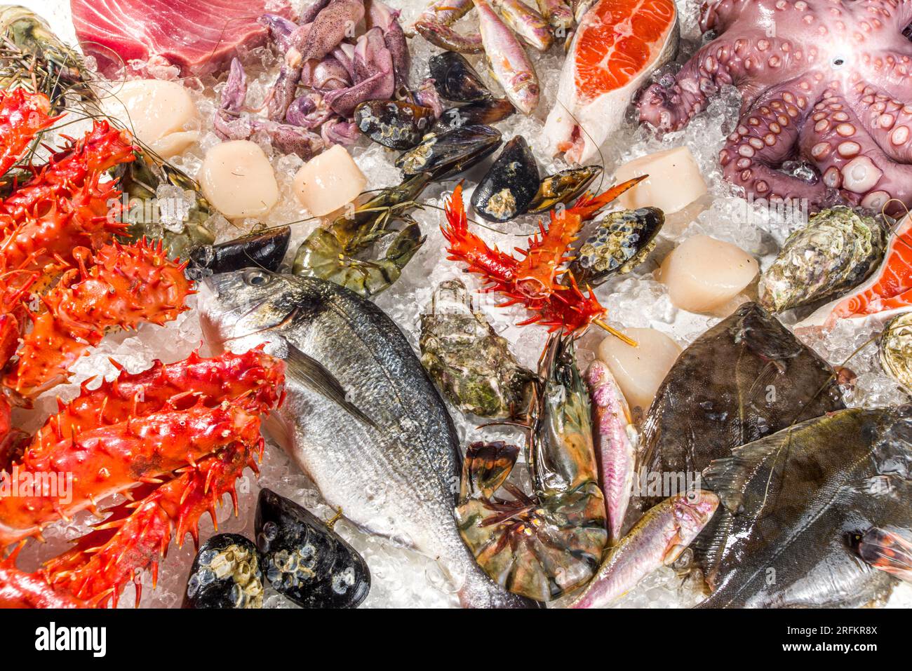 Set of various fresh raw seafood - octopus, crab, squid, shrimp prawn ...