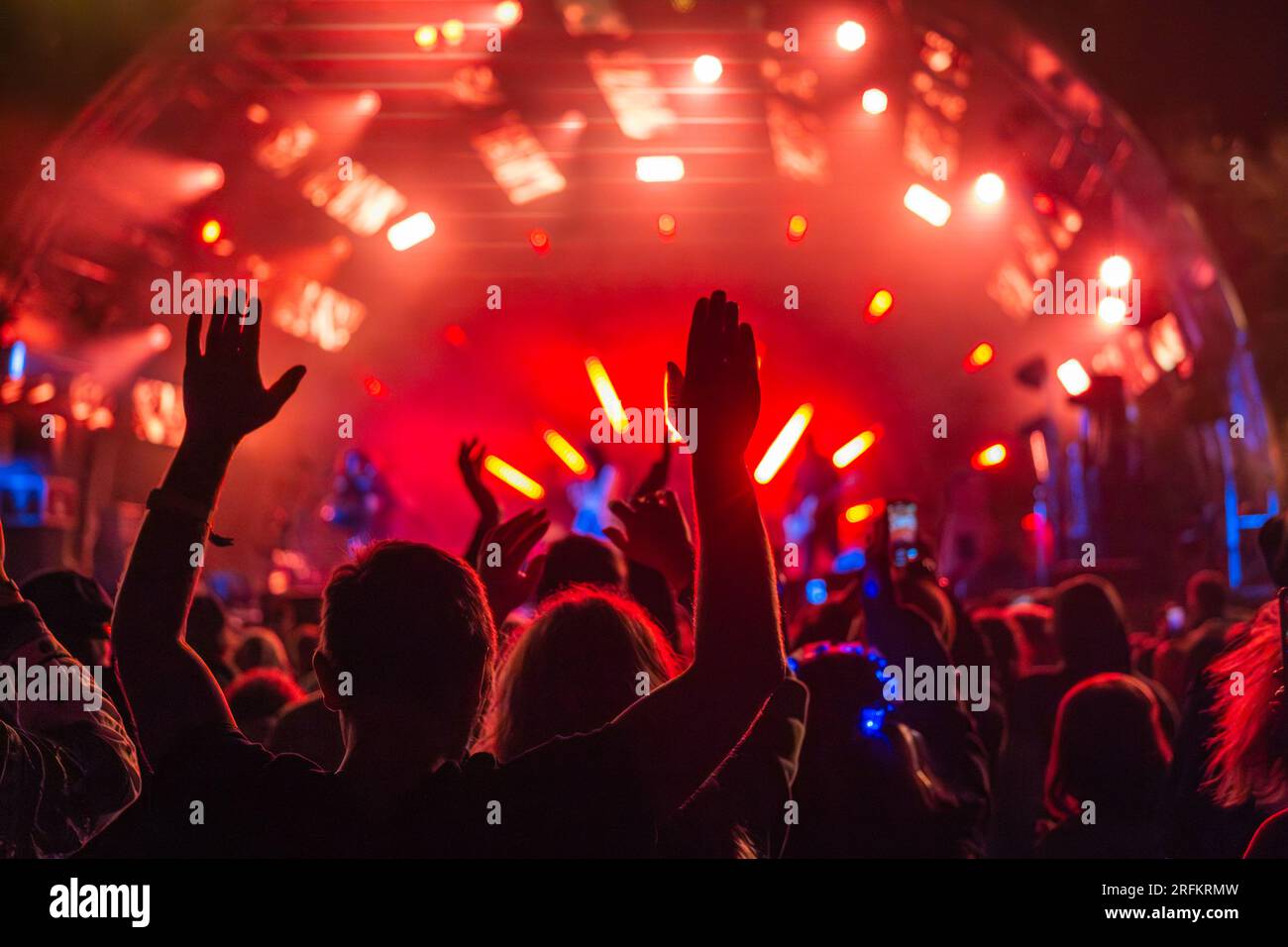 Back view silhouette of people with arms raised enjoying music festival ...