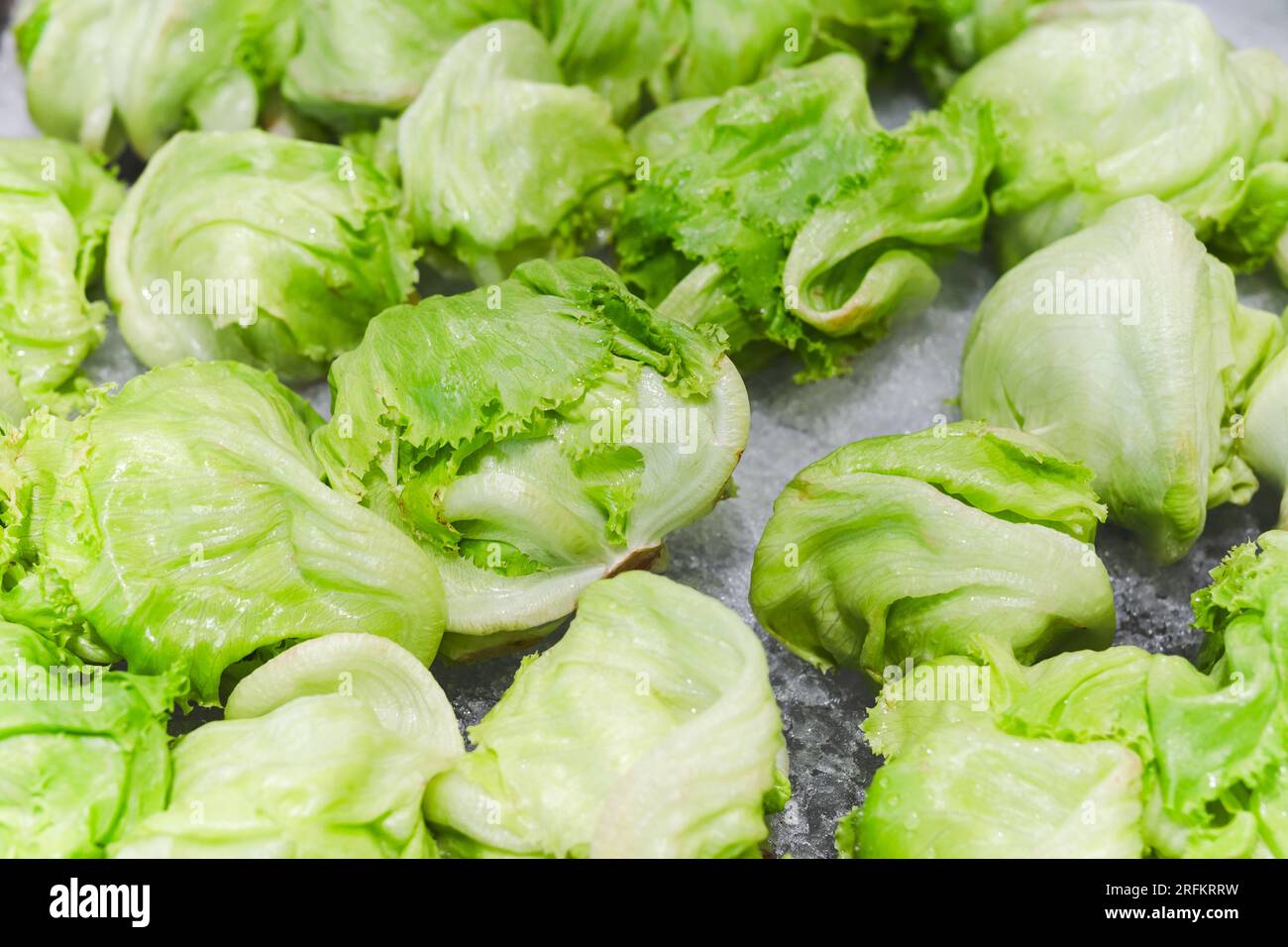 Fresh whole green iceberg lettuces on iced in grocery Stock Photo - Alamy