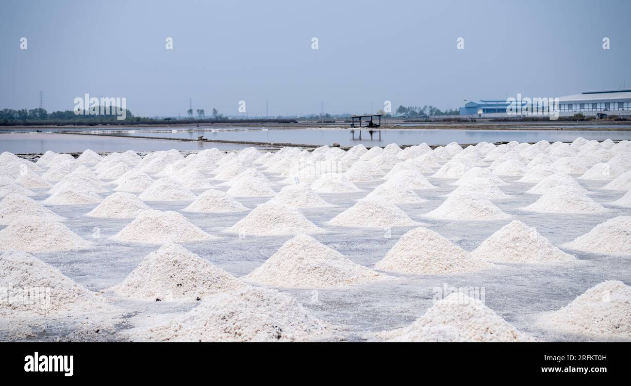 Landscape sea salt farm in Thailand. Brine salt. Raw material of salt ...