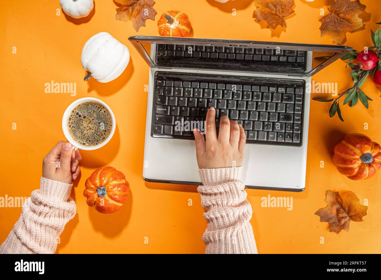Autumn office work, education flatlay top view copy space. Cozy fall ...
