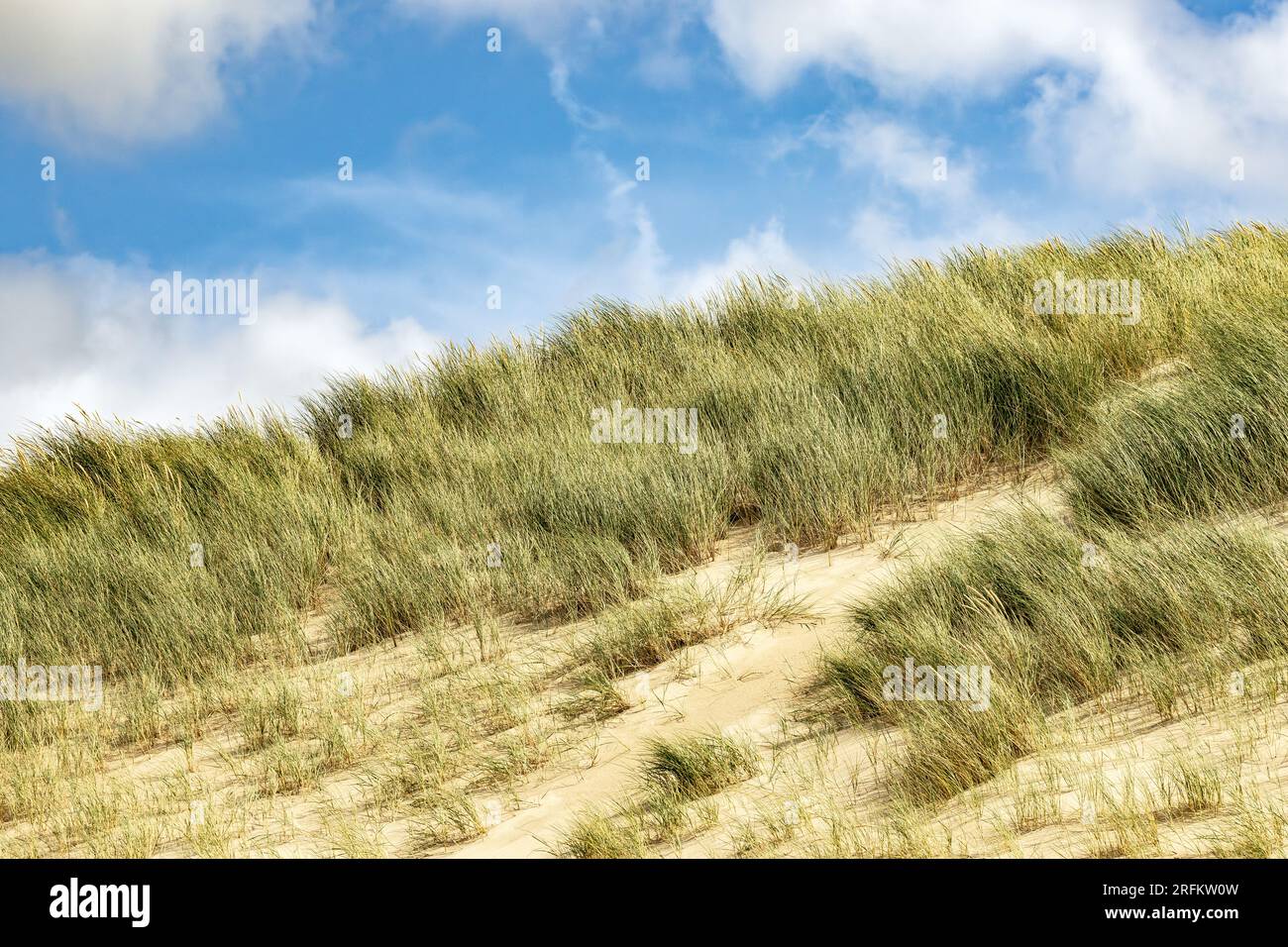 Shore with dune grass hi-res stock photography and images - Alamy