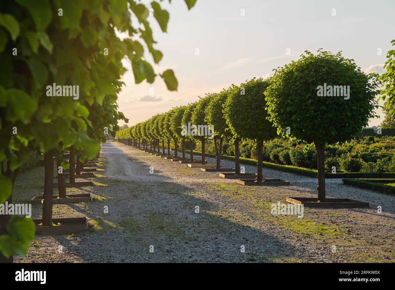 Alley garden park hi-res stock photography and images - Alamy