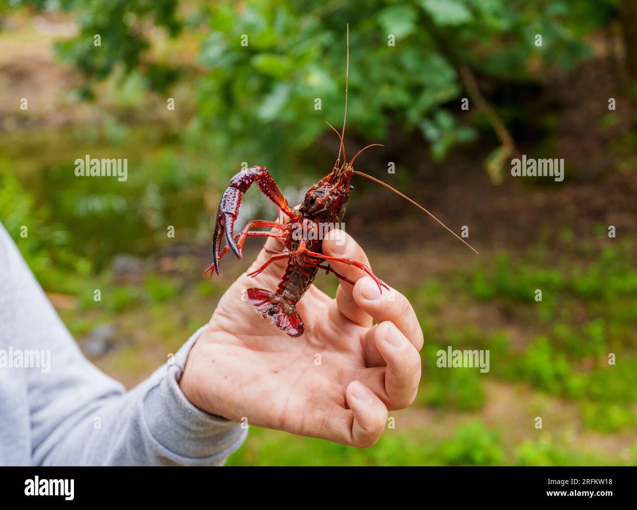 Raunheim, Germany. 04th Aug, 2023. Frank Baumgart, local resident ...