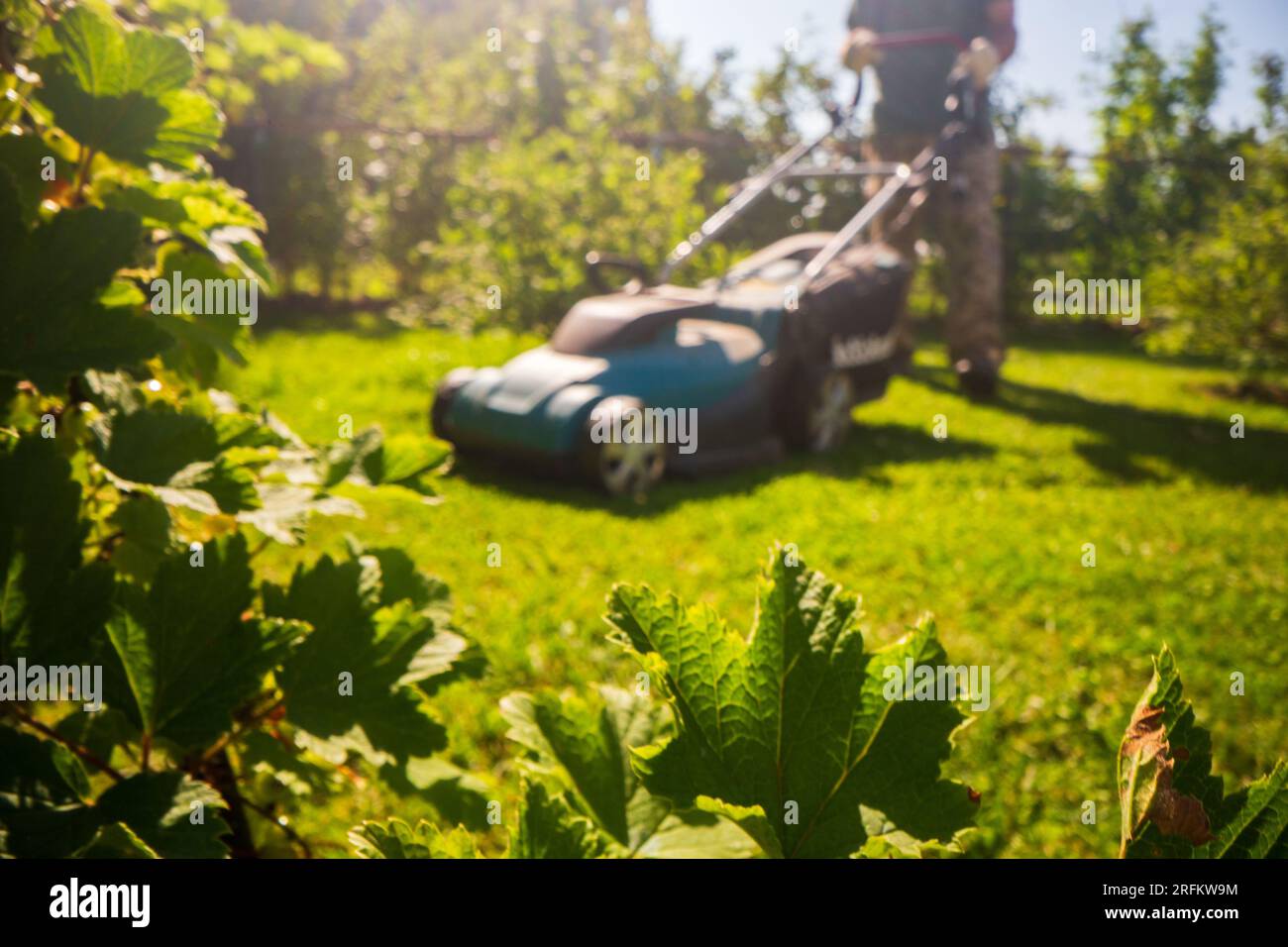 Lawn mover on green grass in modern garden or backyard. Machine for ...