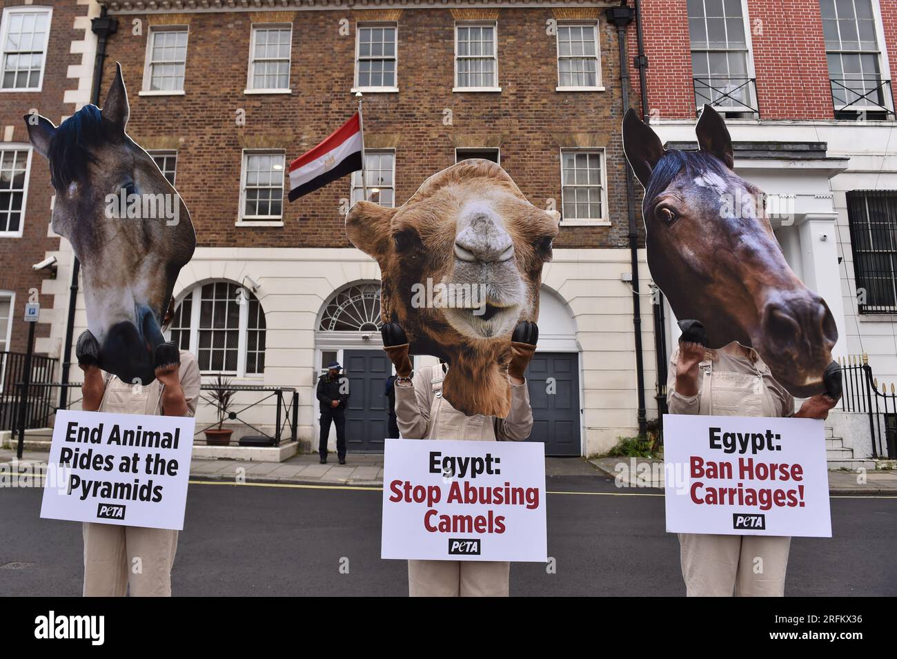London, England, UK. 4th Aug, 2023. PETA activists wearing giant horse ...
