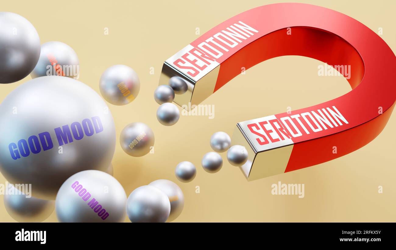 Serotonin which brings Good mood. A magnet metaphor in which Serotonin ...