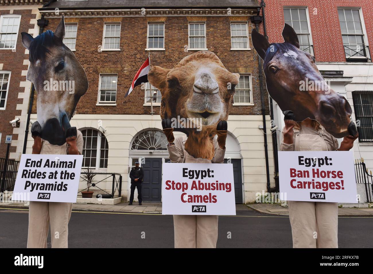 Egyptian government posters hi-res stock photography and images - Alamy