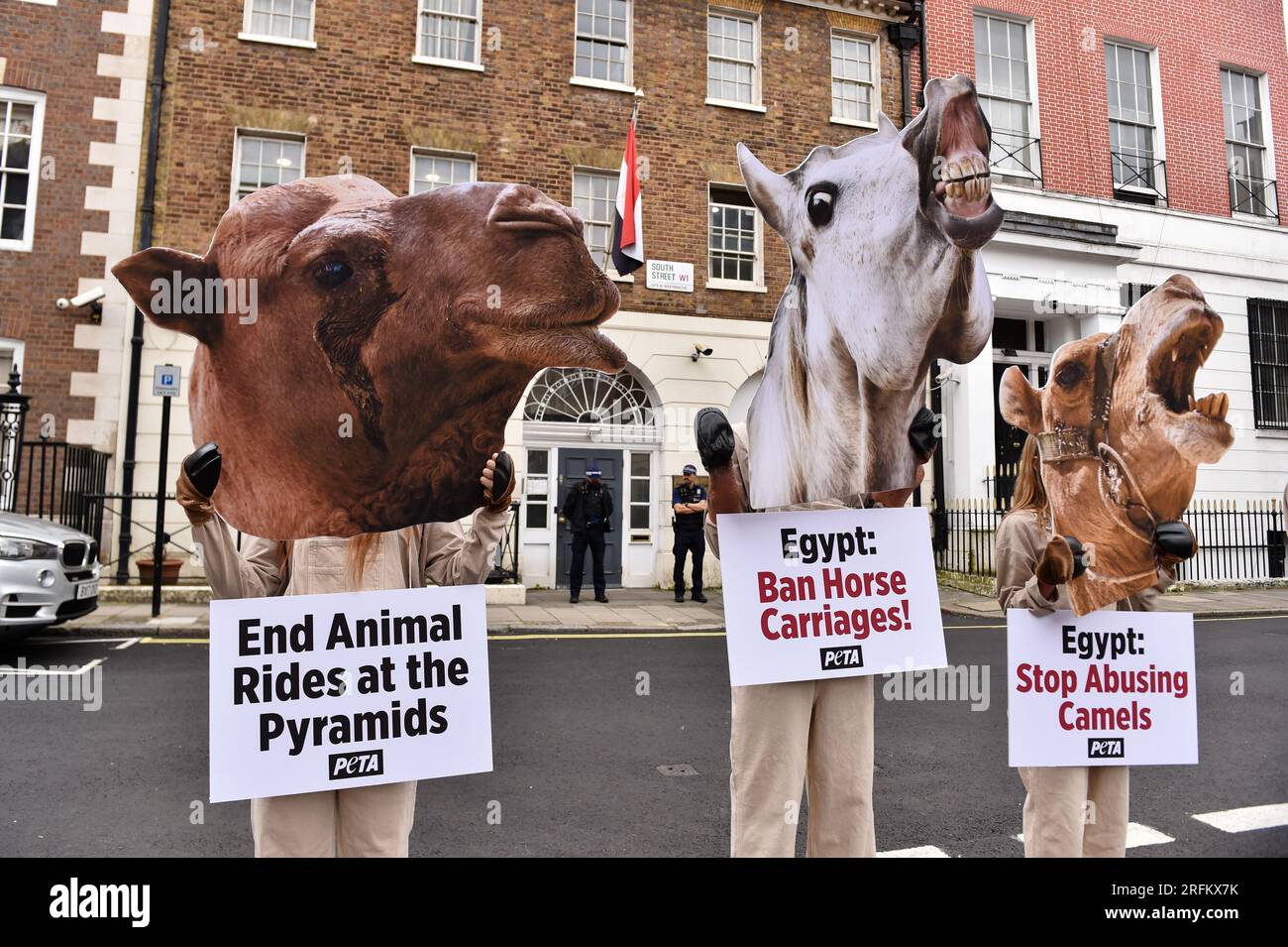 London, England, UK. 4th Aug, 2023. PETA activists wearing giant horse ...