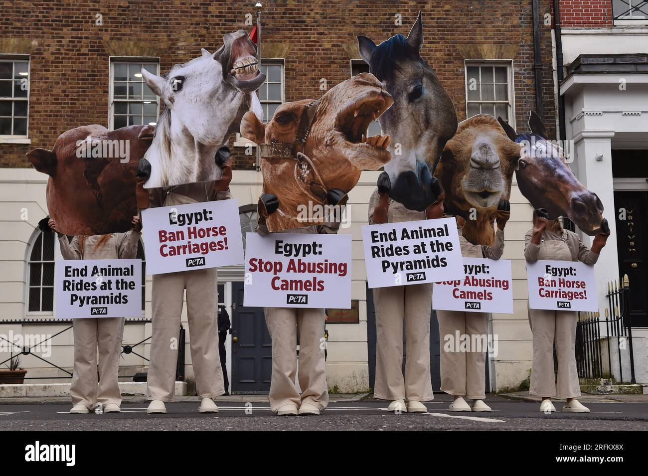 London, England, UK. 4th Aug, 2023. PETA activists wearing giant horse ...