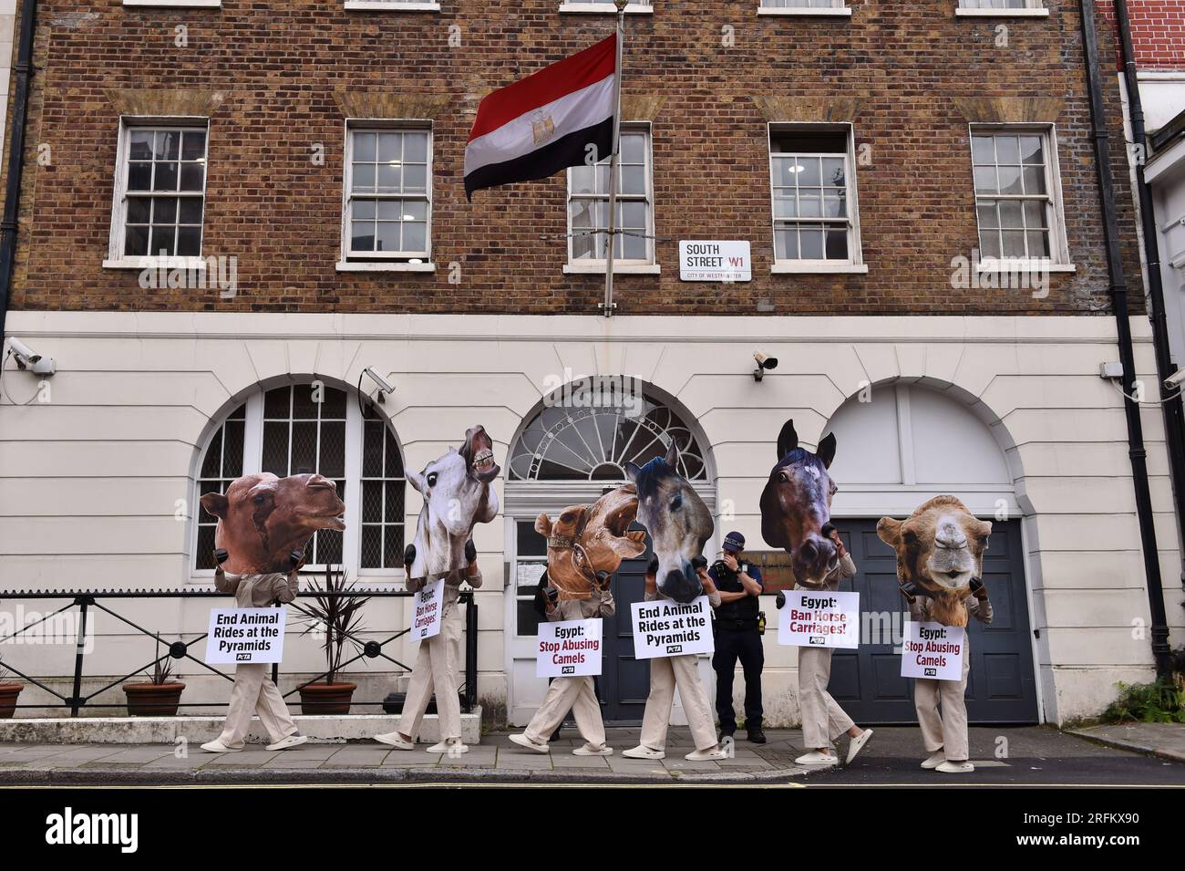 London, England, UK. 4th Aug, 2023. PETA activists wearing giant horse ...
