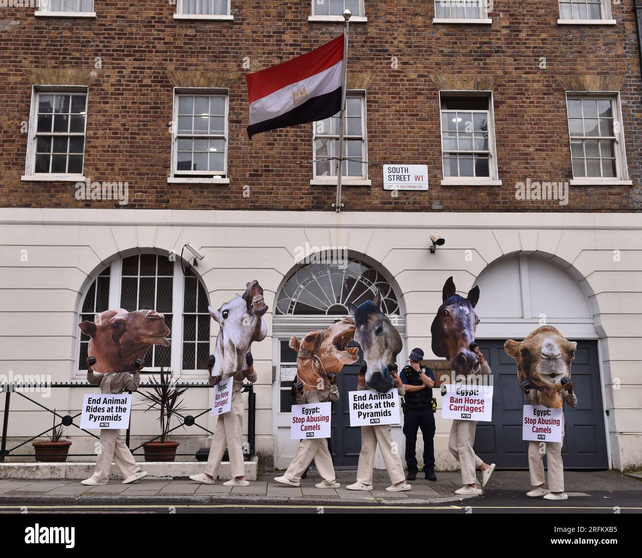 Egyptian government posters hi-res stock photography and images - Alamy