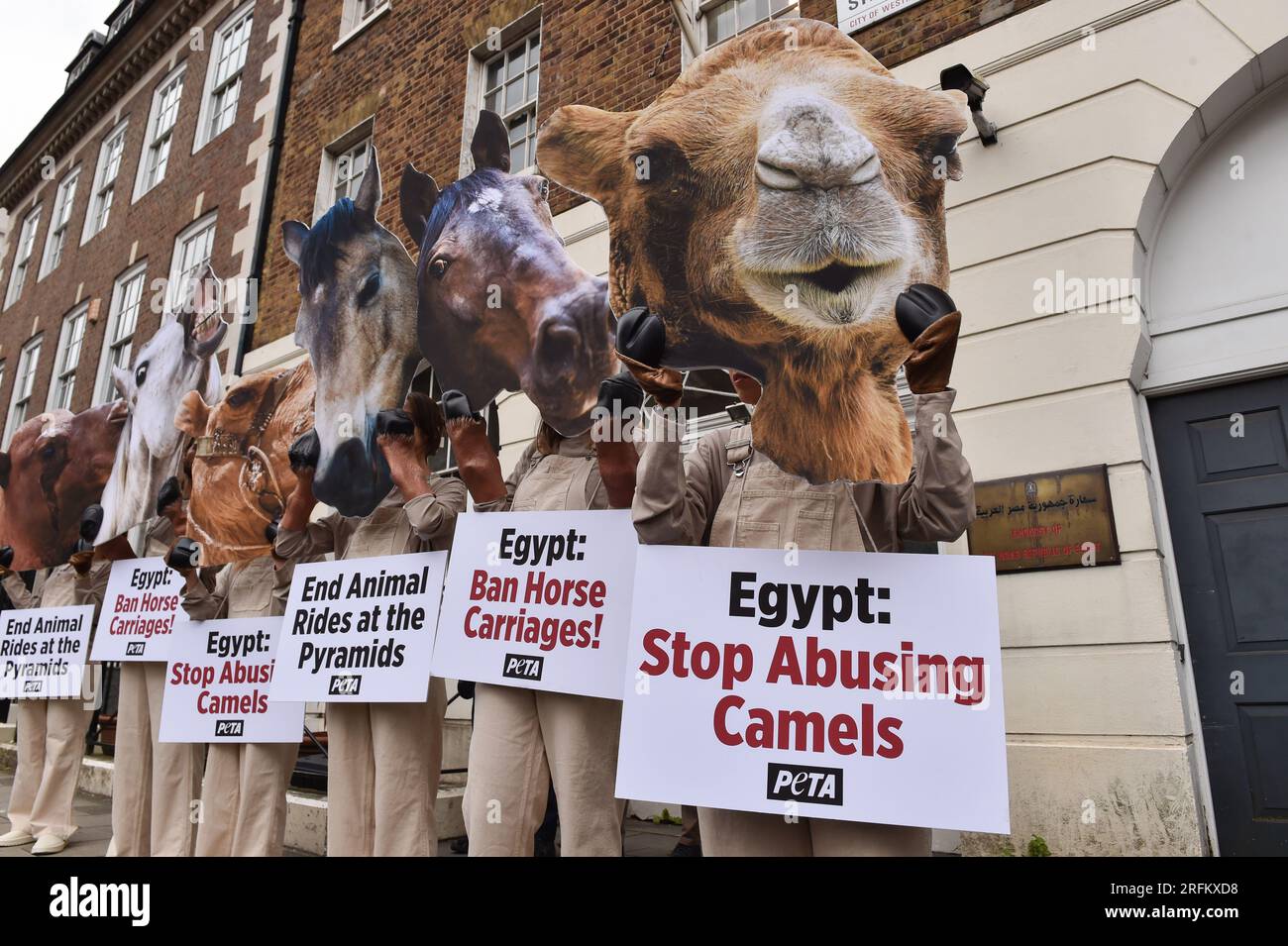 London, England, UK. 4th Aug, 2023. PETA activists wearing giant horse ...