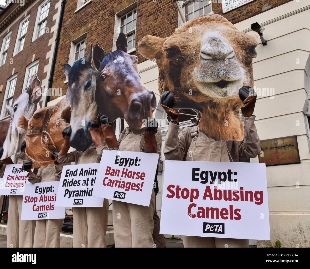 Egyptian government posters hi-res stock photography and images - Alamy
