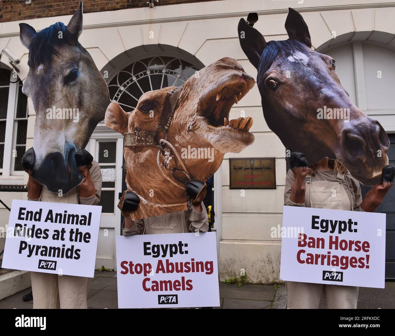 London, England, UK. 4th Aug, 2023. PETA activists wearing giant horse ...