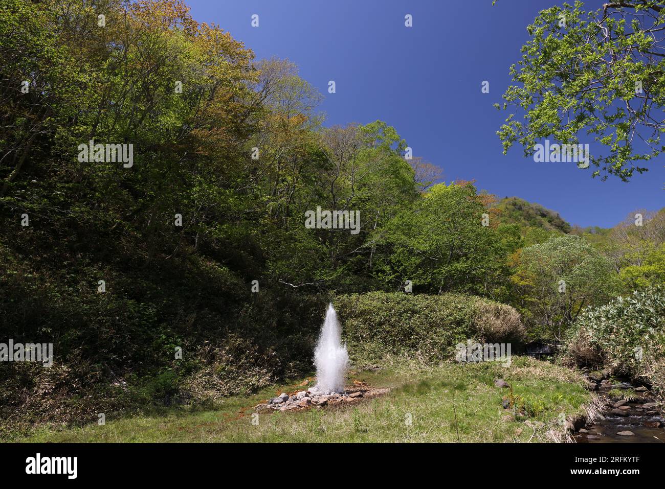 erupting Rausu Geyser Hokkaido Japan Stock Photo - Alamy