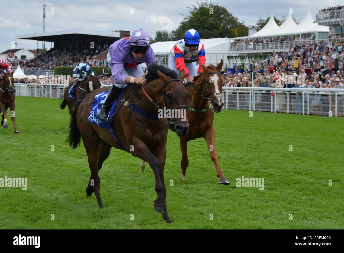 Temporize hi-res stock photography and images - Alamy