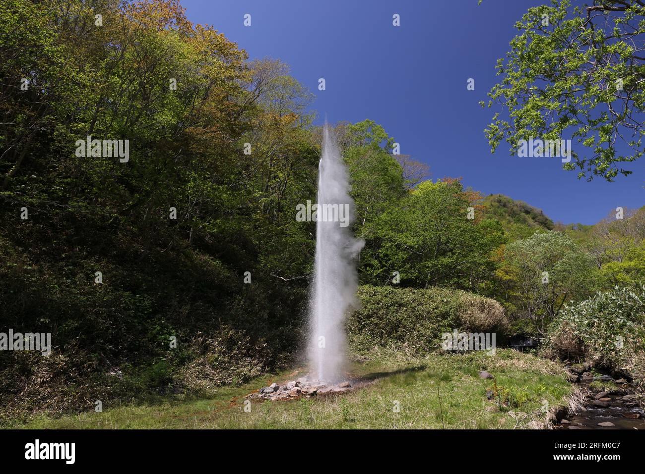 erupting Rausu Geyser Hokkaido Japan Stock Photo - Alamy