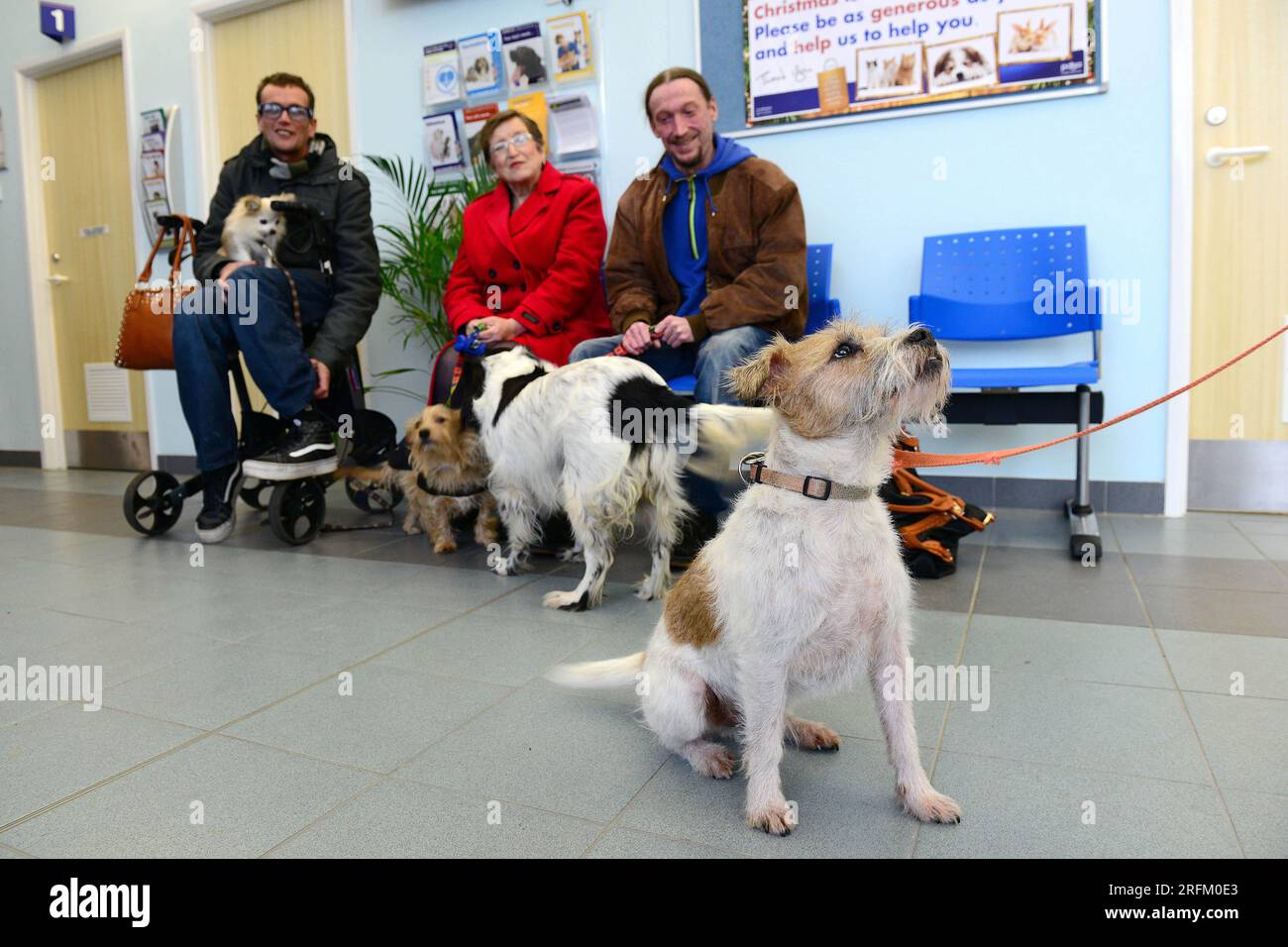 PDSA Veterinary clinic waiting room Stock Photo - Alamy