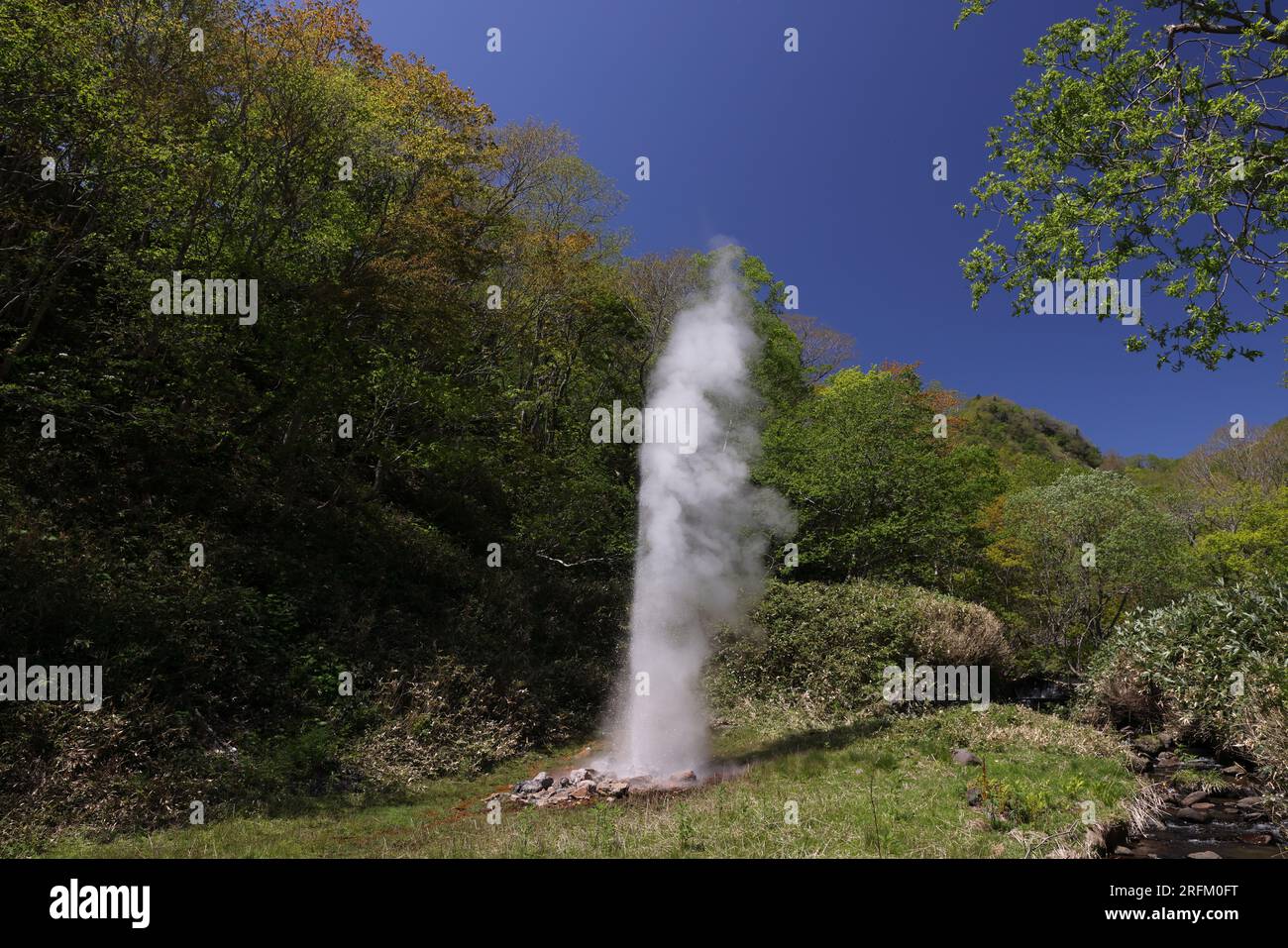 erupting Rausu Geyser Hokkaido Japan Stock Photo - Alamy