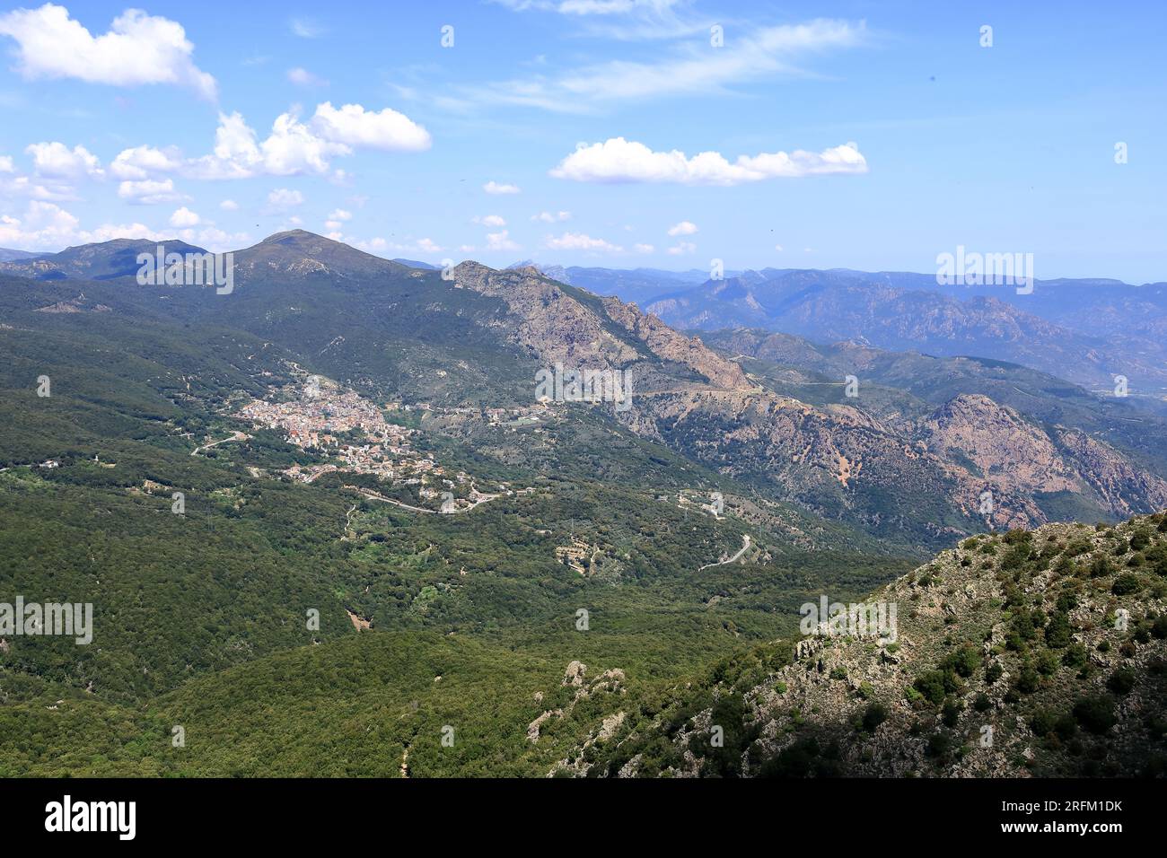 Biddamanna hi-res stock photography and images - Alamy