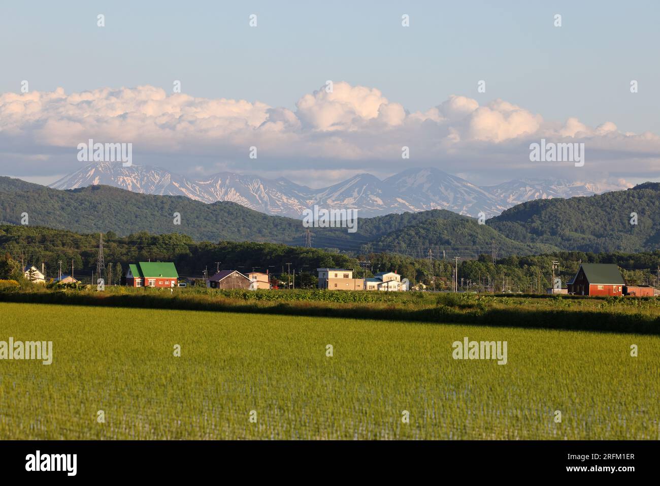 Rice fields at Asahikawa overlooking the mountains of Daisetsuzan ...