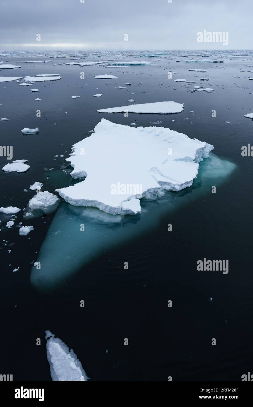 Icefloe in the north polar sea Stock Photo - Alamy